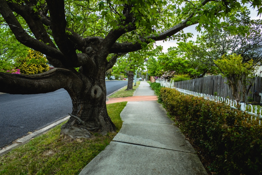 Trees and verges | City of Mandurah