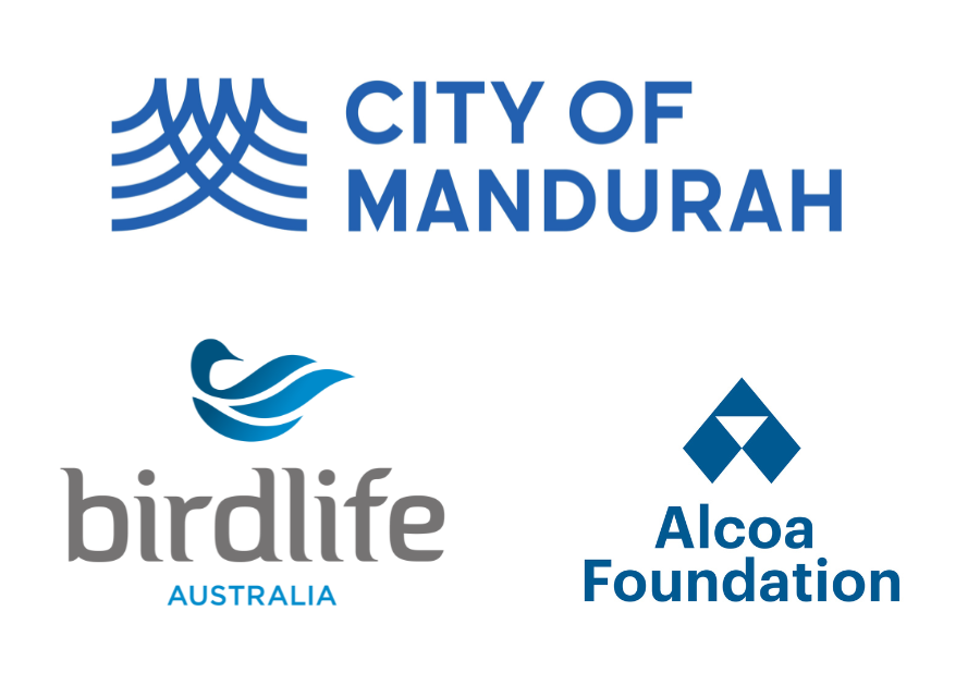 Birdlife Logo The Gough Project BirdLife South Africa